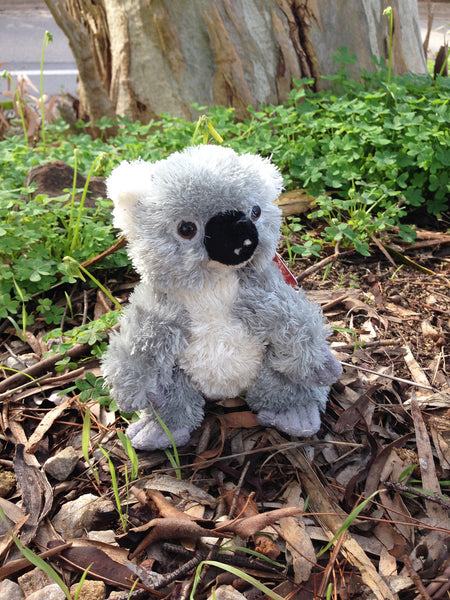 'Adrian' The Koala Plush Toy – Koalafication
